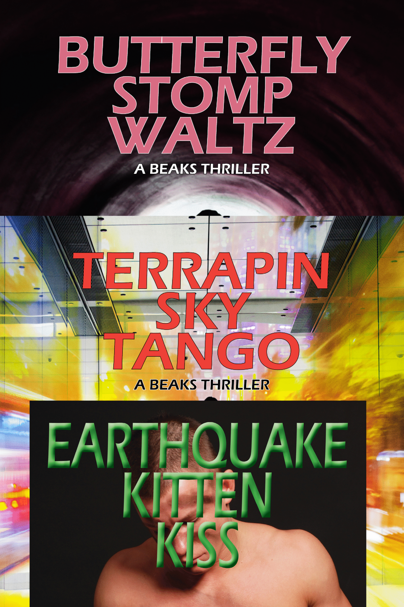 Beaks 3-book Bundle – Tilted Windmill Press